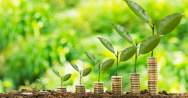 What are general orientations of the National green growth strategy for ...