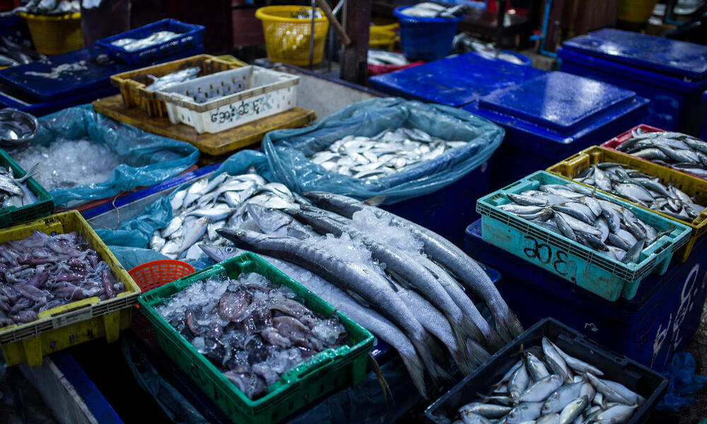 The settlement of violations against regulations on import of fishery ...