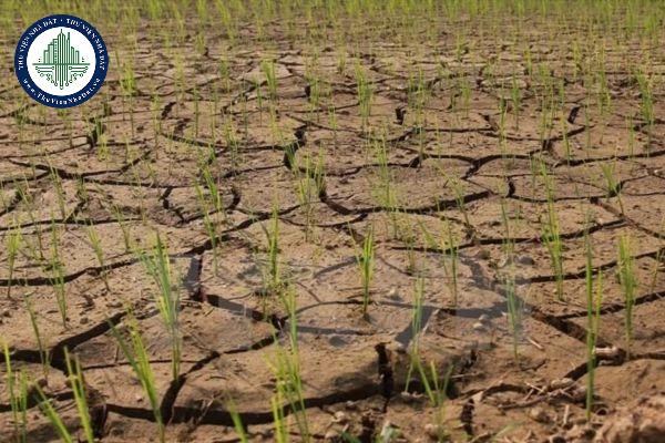 Quy trình đánh giá dự báo và cảnh báo về hạn hán hiện nay được thực hiện ra sao và có những tiêu ...