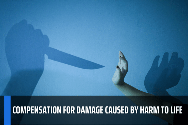 How to determine the damage caused by harm to life in Vietnam? How much ...