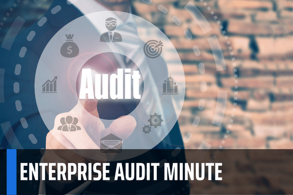 What is the latest form of enterprise audit minutes in Vietnam? Who is ...