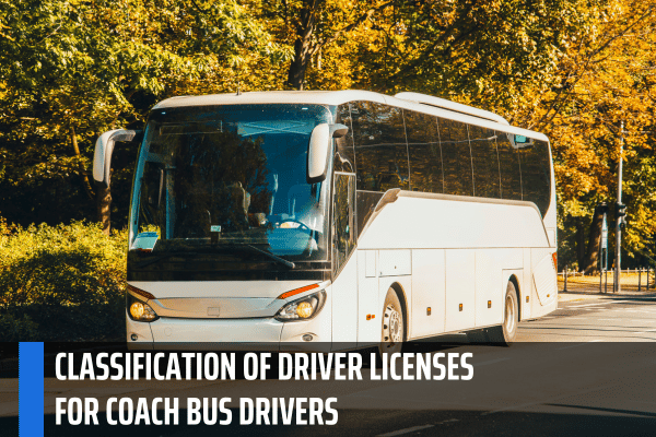 What is the classification of driver licenses for coach bus drivers in ...