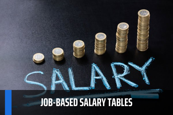 To issue new job-based salary tables for salary reform in Vietnam in ...