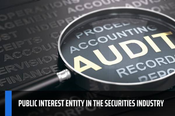 What is a public interest entity in the securities industry? What are ...