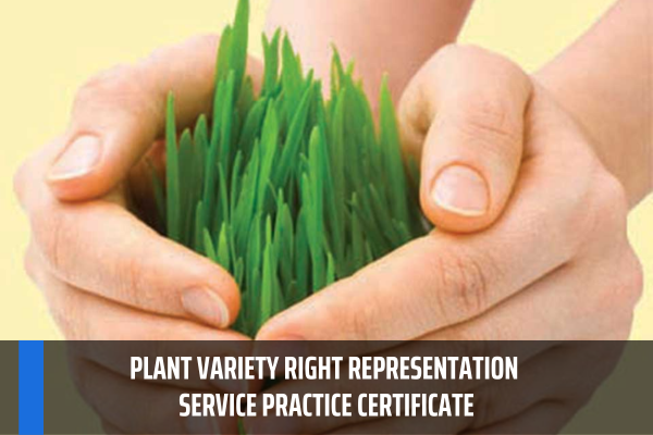 What is the latest application form for issuance of plant variety right ...