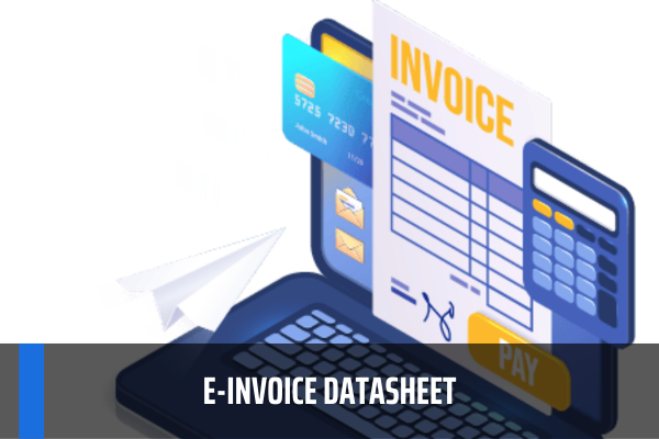 What is the format of e-invoice datasheet sent to tax authority in ...