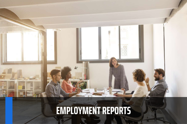 If an enterprise does not employ employees, shall it submit employment ...