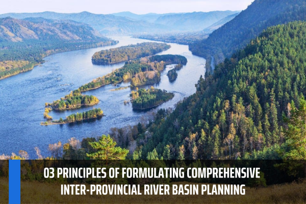 What are the 03 Principles of formulating comprehensive inter ...