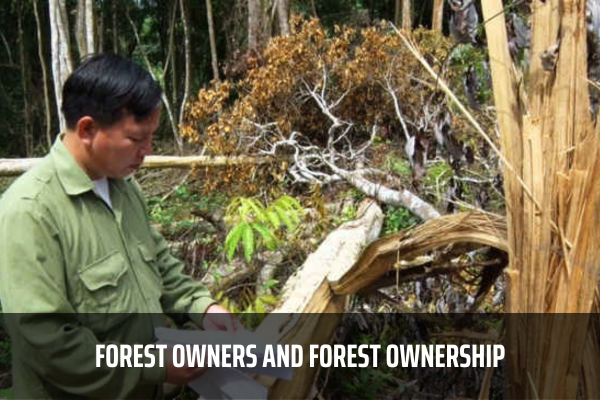 Are forest owners and forest ownership the same? What are the cases ...