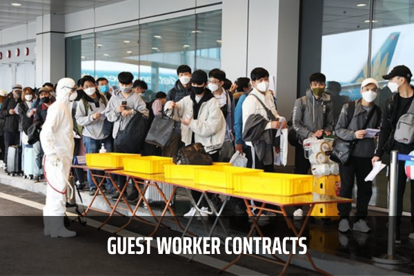What is the form of guest worker contracts in Vietnam from May 15, 2024 ...