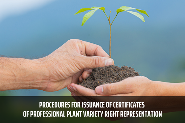 What are the procedures for issuance of certificates of professional ...