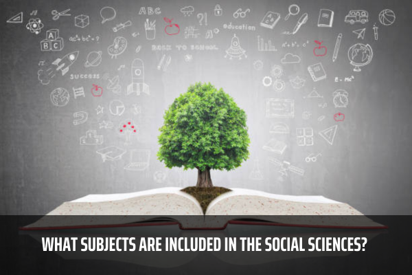 What subjects are included in the social sciences? What are the ...