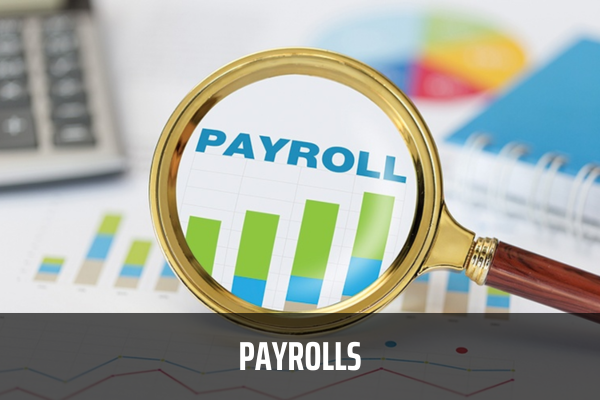 What are the differences between job positions-based payrolls ...