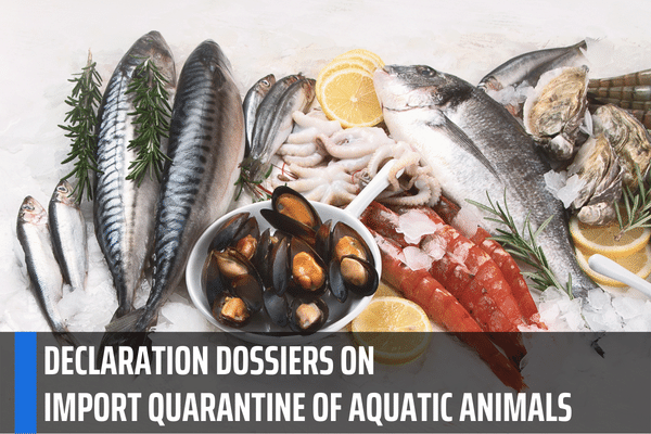 Vietnam: Can goods owners send declaration dossiers on import ...