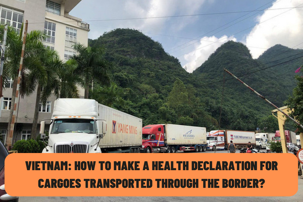 Vietnam: How to make a health declaration for cargoes transported ...