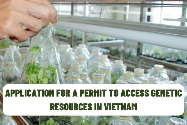 What is the application for a permit to access genetic resources in ... What is the application for a permit to access genetic resources in ...