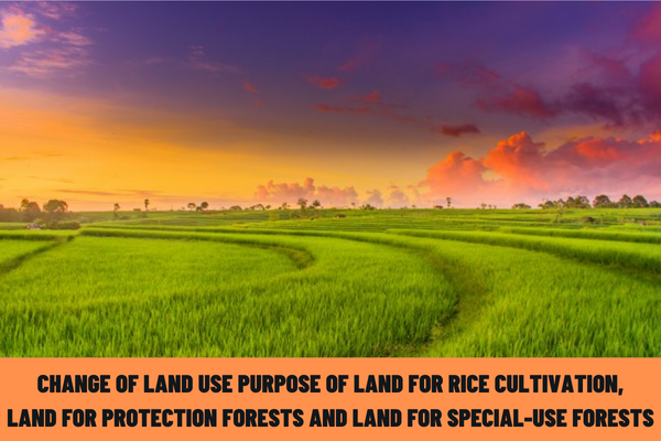 What are the conditions for change of land use purpose of land for rice ...