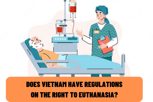 Does Vietnam have regulations on the right to euthanasia? Can family ...