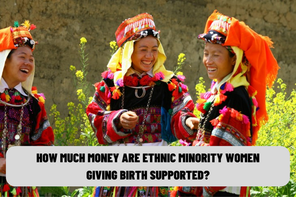 Vietnam: How much money are ethnic minority women giving birth ...