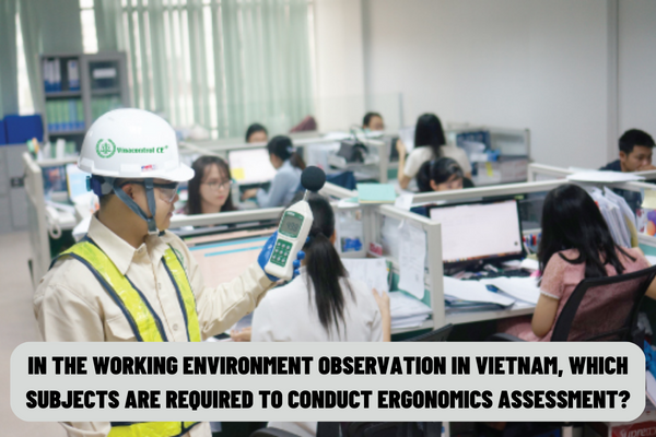 In the working environment observation in Vietnam, which subjects are ...