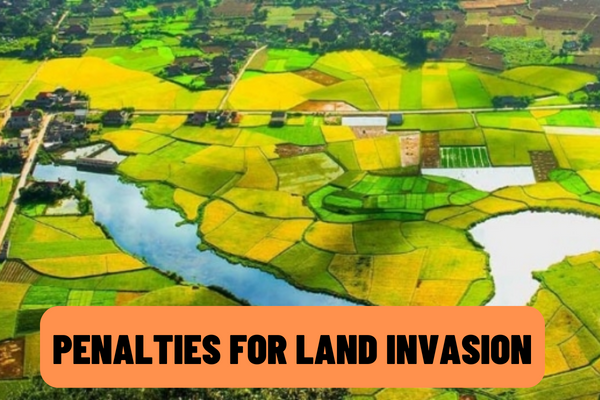 What is land invasion? Is there a criminal prosecution for land invasion?