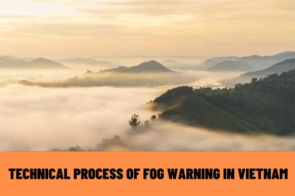 Vietnam: How is the technical process of fog warning implemented? What ...