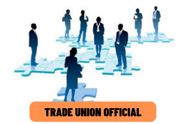 What professional qualifications are required for members of the ...