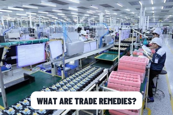 What are trade remedies? What are the trade remedies used by Vietnam?