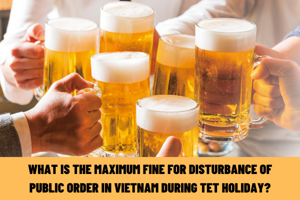What is the maximum fine for disturbance of public order in Vietnam ...