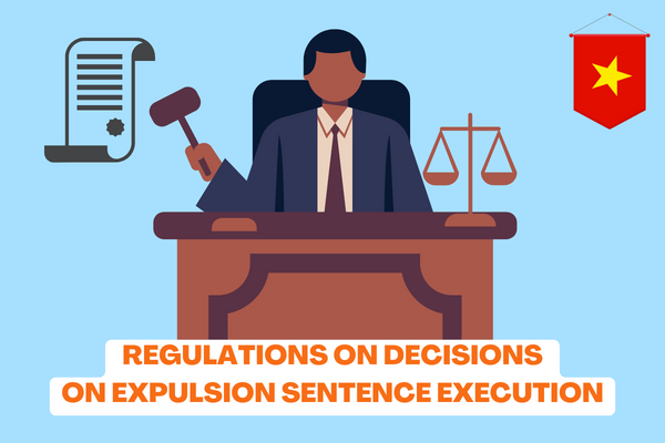 Vietnam: What are the regulations on decisions on expulsion sentence ...