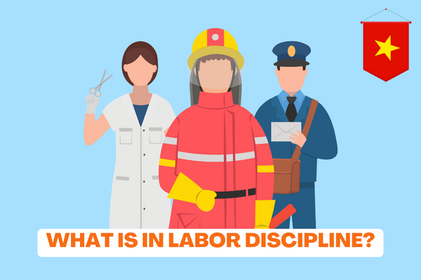 Vietnam: Can enterprises not handle labor discipline but directly ...