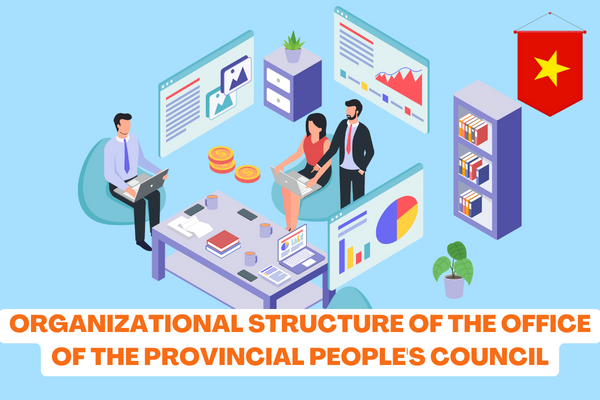 Currently, what is the organizational structure of the Office of the ...