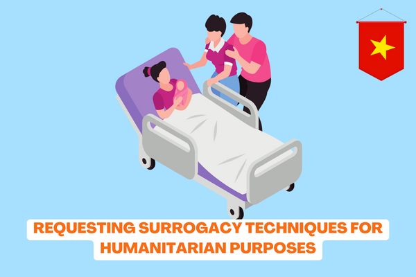 Vietnam: What are dossiers and procedures for requesting surrogacy ...