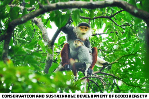 Vietnam What Is Biodiversity What Are The Principles For The Conservation And Sustainable vietnam-what-is-biodiversity-what-are-the-principles-for-the-conservation-and-sustainable