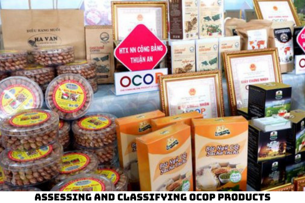 Vietnam: What are the procedures for assessing and classifying OCOP ...