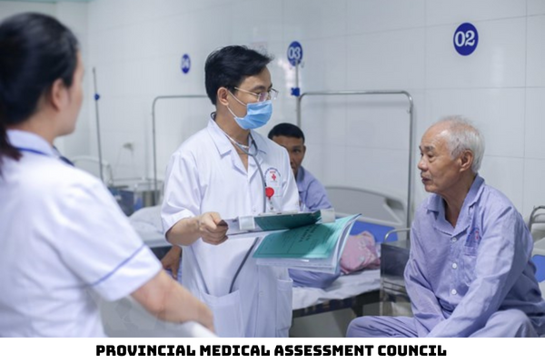 What are the procedures for medical assessment in Vietnam? What are the ...