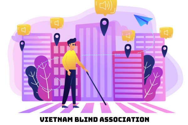 What is the organizational structure of the Vietnam Blind Association ...