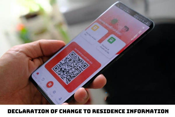 Vietnam: What are the instructions for preparing the declaration of ...