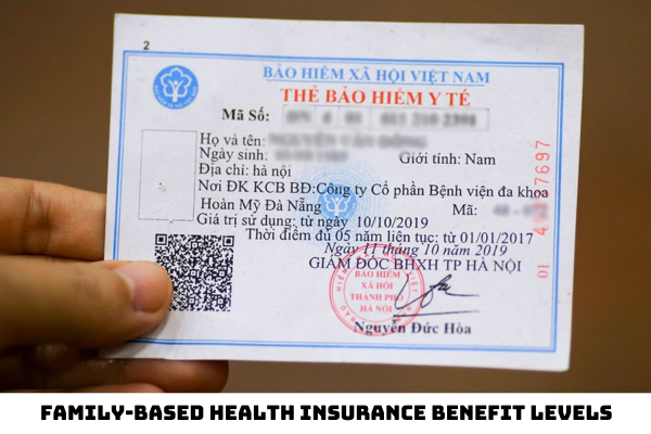 Vietnam: What are the family-based health insurance benefit levels ...