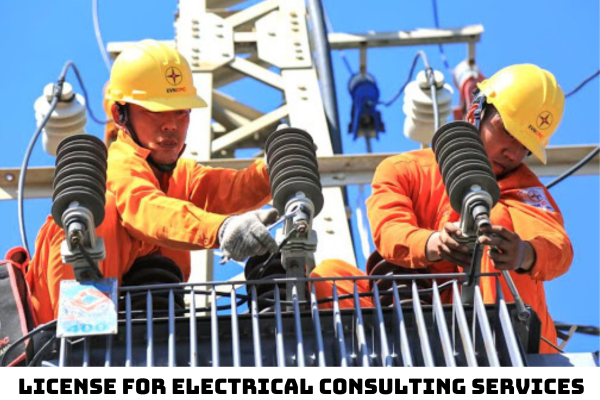 Vietnam: From June 9, 2023, what does the application for issuing a ...