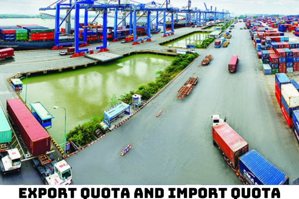 Vietnam: What are goods eligible for imposition of export quota and ...