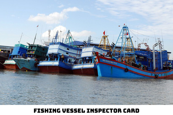 Vietnam: What does the application for issuance of a fishing vessel ...