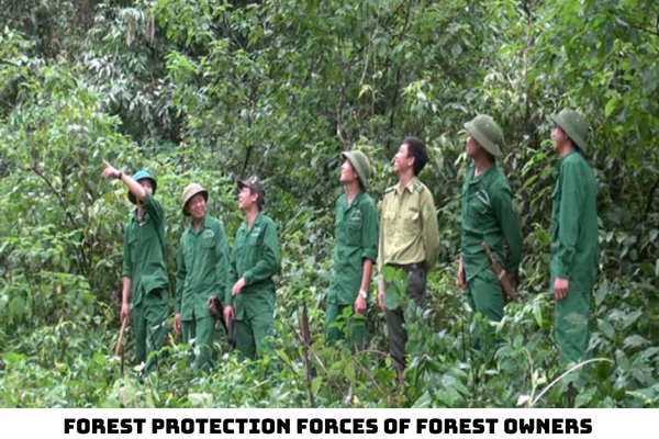 Vietnam: What are the regulations on equipment and benefits provided ...