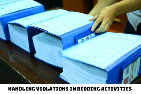 Vietnam: What are the principles of handling violations in bidding ...