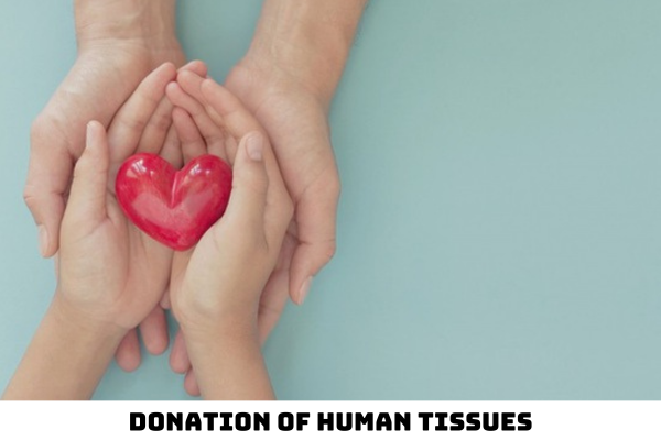 Vietnam: What is the donation of human tissues? What are the procedures ...