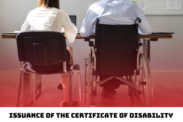 Vietnam: What is the newest application form for determination of the ...