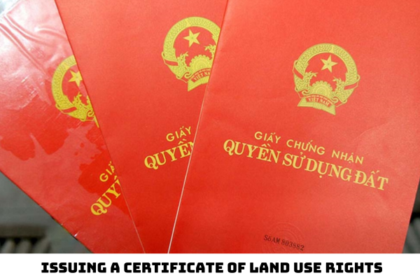 Vietnam: In 2023, what are the procedures for issuing a certificate of ...