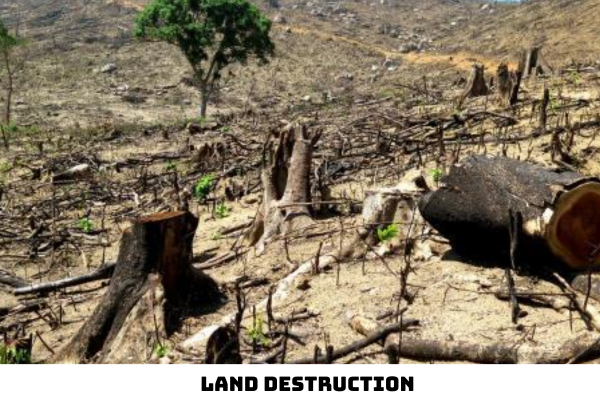 Under the Law on Land 2024, what are the cases of expropriating land ...