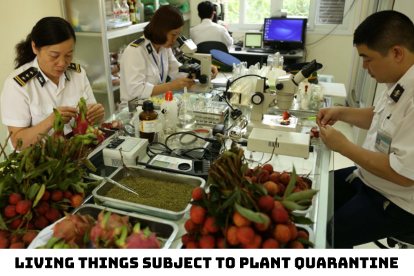 What is the latest list of living things subject to plant quarantine in ...