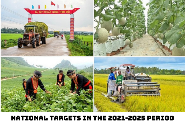 Vietnam: What are the national targets in the 2021-2025 period of the ...